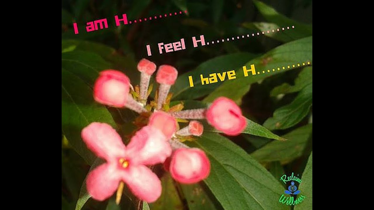 I am H...., I feel H....., I have H....... - YouTube