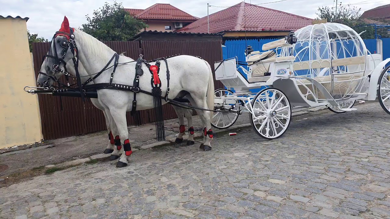 Caleasca Boiereasca - YouTube