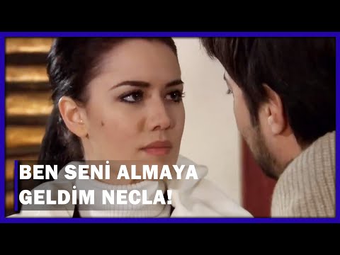 Ben Seni Almaya Geldim Necla! - Yaprak Dökümü 142.Bölüm