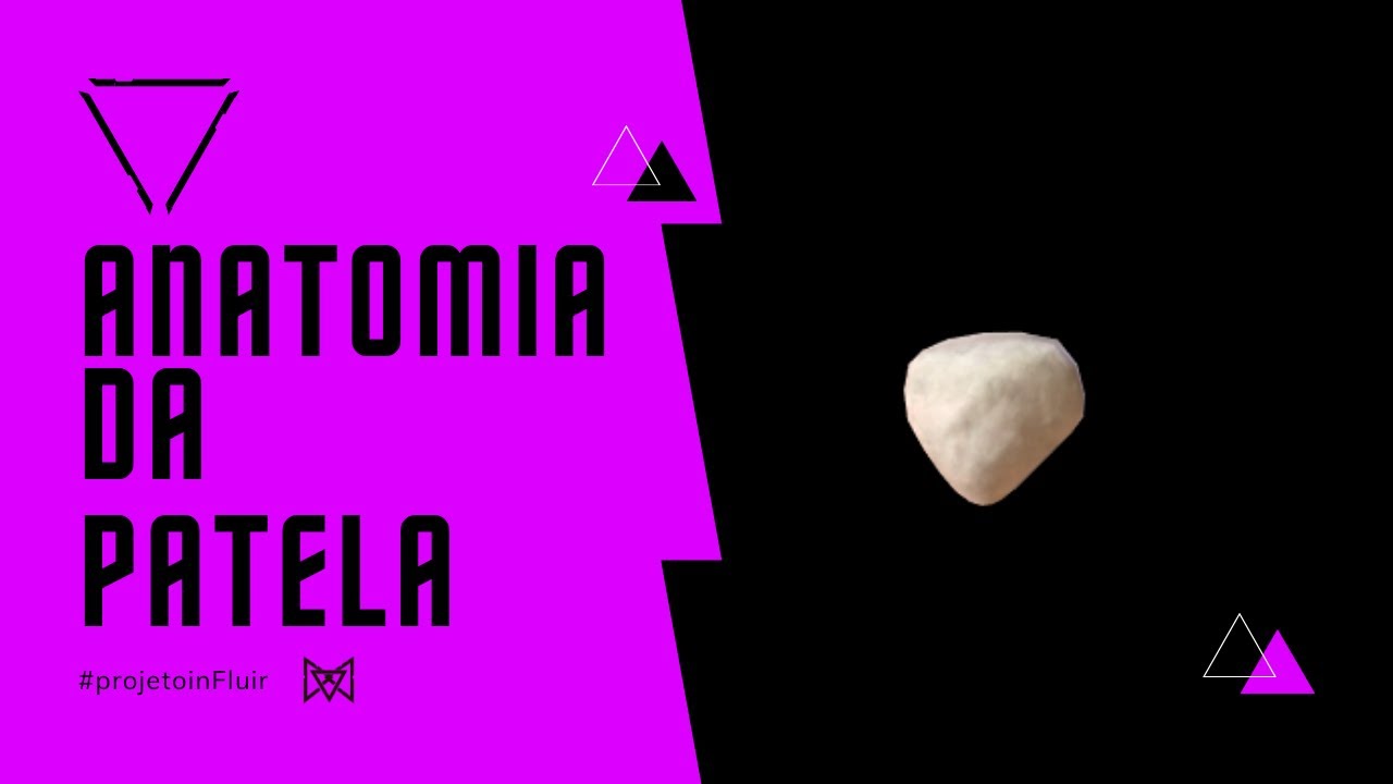 Anatomia Da Rotula Luxando Patela Cães Ele Desloca Para Joelho