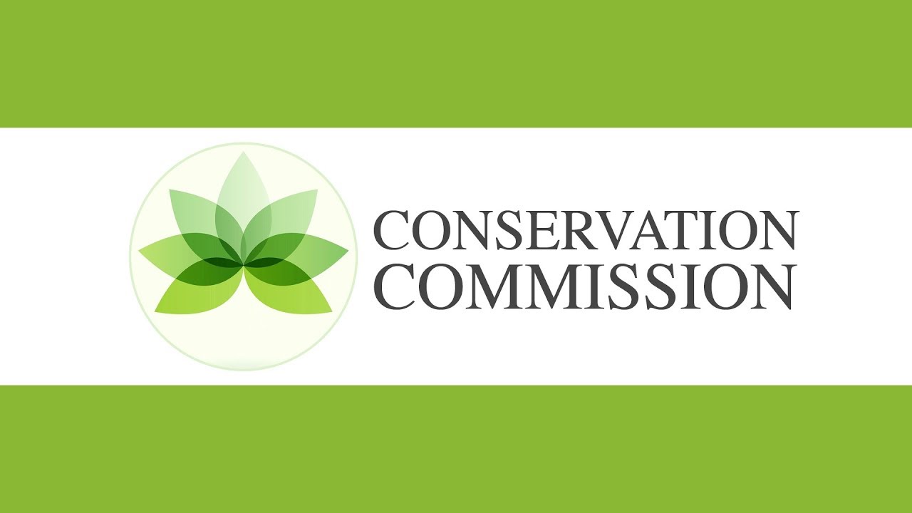 Conservation Commission 06/08/2020 - YouTube