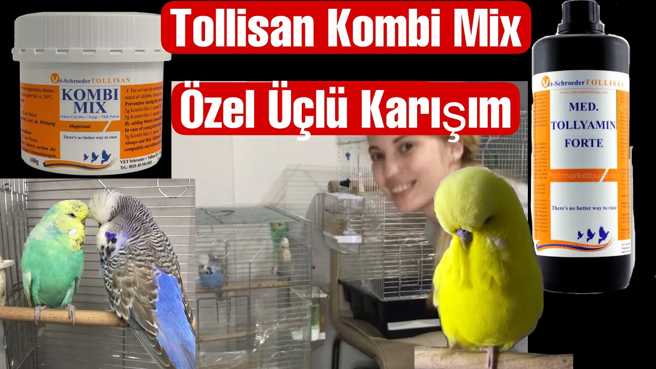 Tollisan Kombi Mix Özel Üçlü Karışım - YouTube