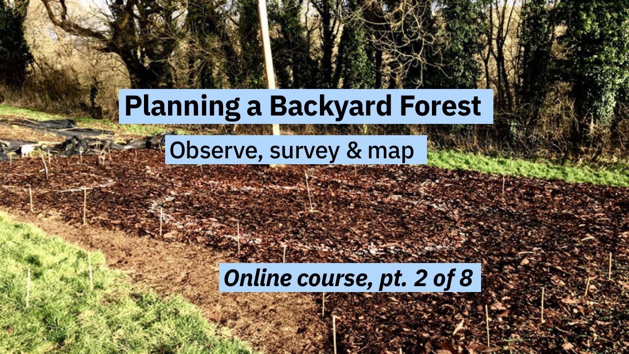 2. Plan a Backyard Forest - YouTube