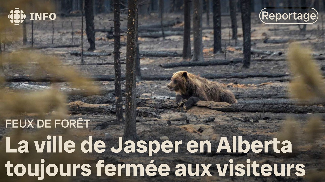 Feux de forêt : les résidents de Jasper constatent les dégâts - YouTube