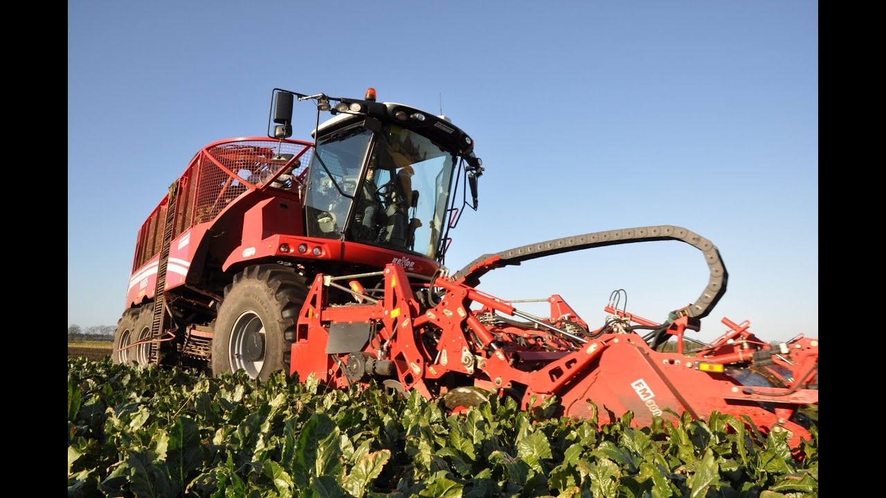 Hubers Overloon Grimme Rexor 630 | Beet lifting | Bieten Oogst - YouTube