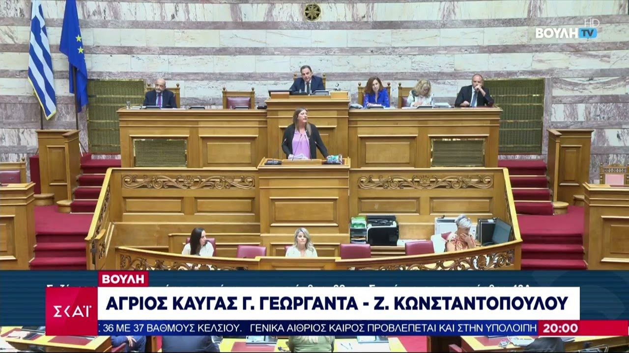 Βουλή: Άγριος καυγάς του Γ. Γεωργαντά με την Ζ. Κωνσταντοπούλου ...