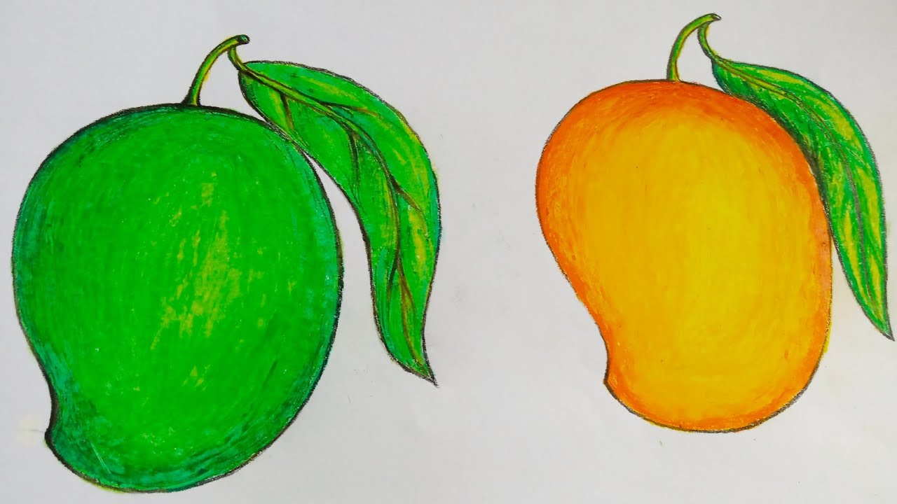 Green mango and ripe mango drawing for beginners. - YouTube
