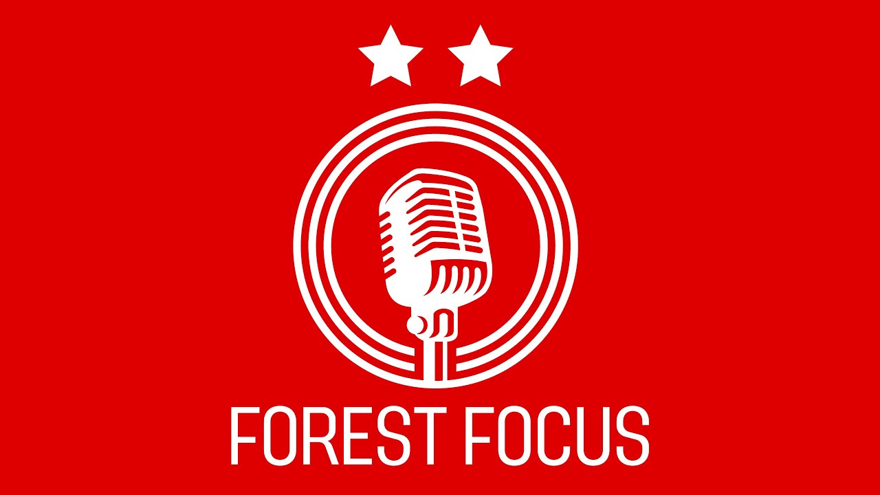 WELCOME TO FOREST FOCUS - YouTube
