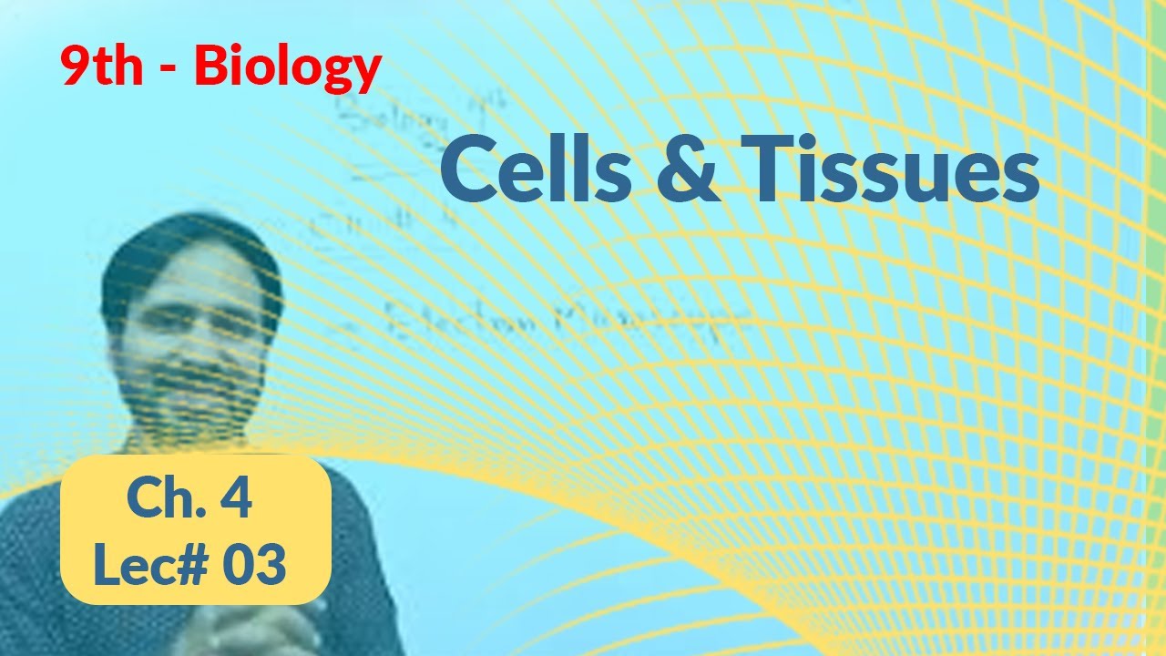 Cells & Tissues 9th Class Ch 4 - 9th Class Biology Cells & Tissues ...