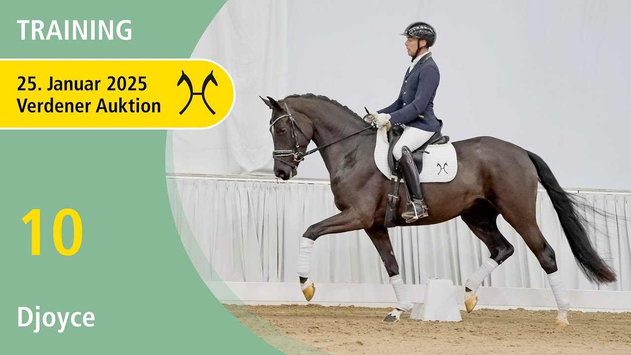 No. 10 Djoyce by Dynamic Dream - Hohenstein | Training - Verden Auction ...