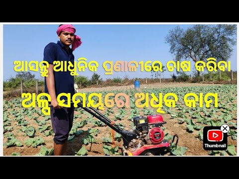 Honda F100 Mini Weeder 2Hp ll ଆସନ୍ତ ଆଧୁନିକ ପ୍ରଣାଳୀ ଚାଷ କରିବା ll ଅଳ୍ପ ...