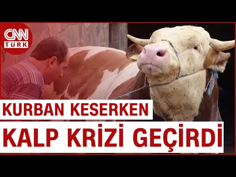Acemi Kasaplar Yaralandı! Kurban Keserken Kalp Krizi Geçiren Bir Kişi İse Hayatını Kaybetti!