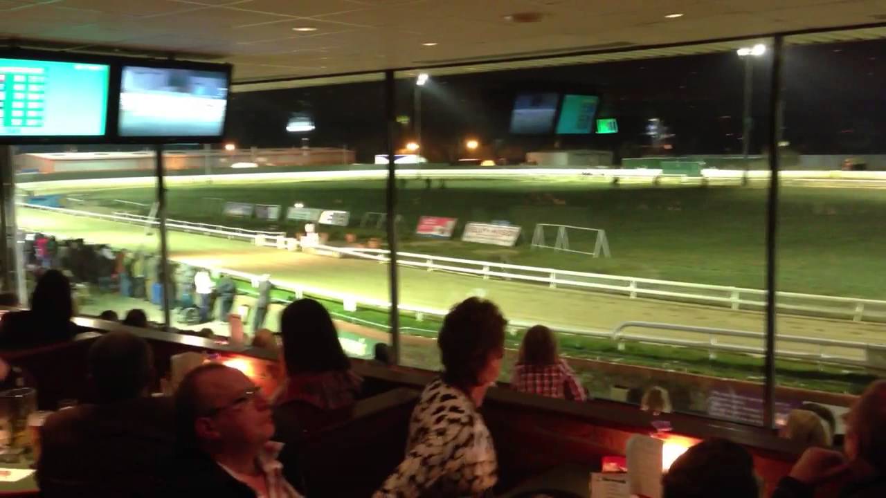 Peterborough greyhounds winning ivy house zac race 2 - YouTube