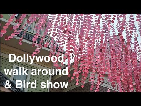 Dollywood Opening Day 2023 walk around & bird show Smoky Mountains ...