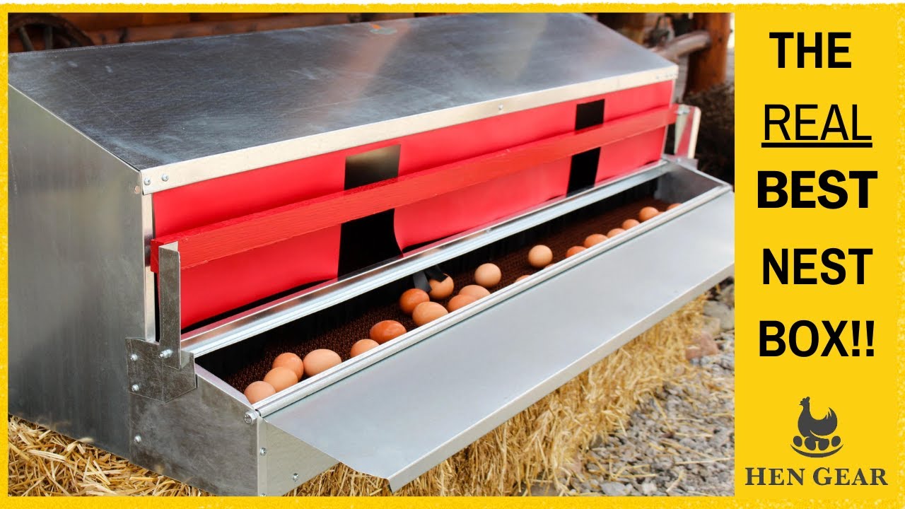 HenGear XL Nest Box Assembly - YouTube
