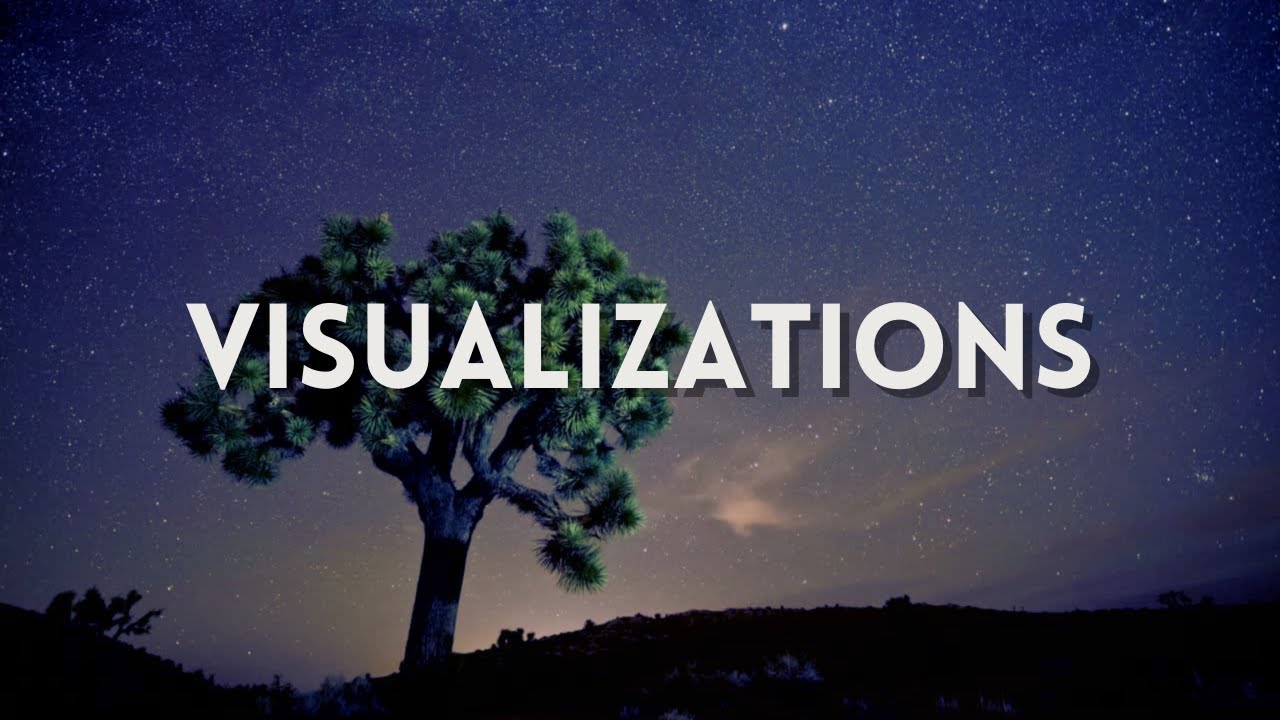 #204-3 Peaceful Scenes, Peaceful Sleep: Harnessing Visualization for ...