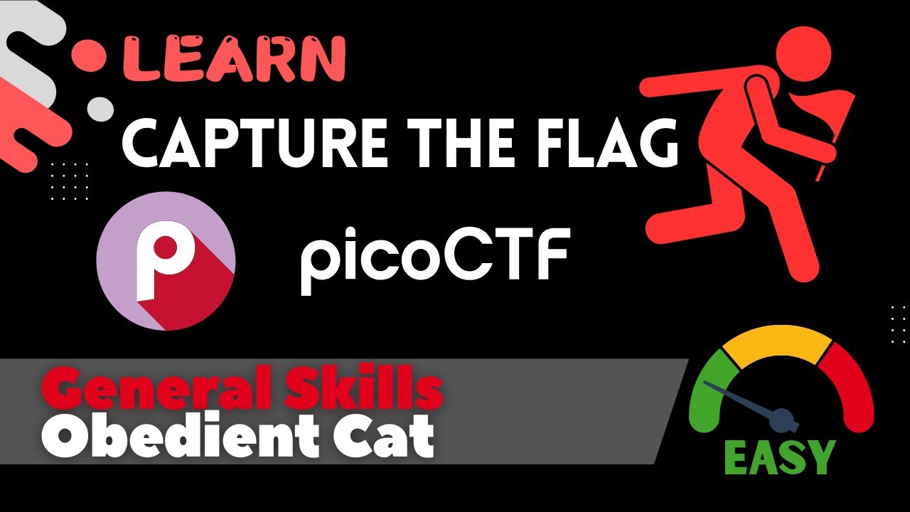 Ctf Picoctf Obedient Cat Youtube 9991