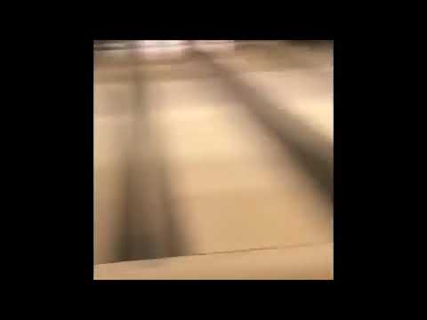 Aşırı komik videolar (Gülmekten yarıldım) %100 Gülmek garantili👍😱