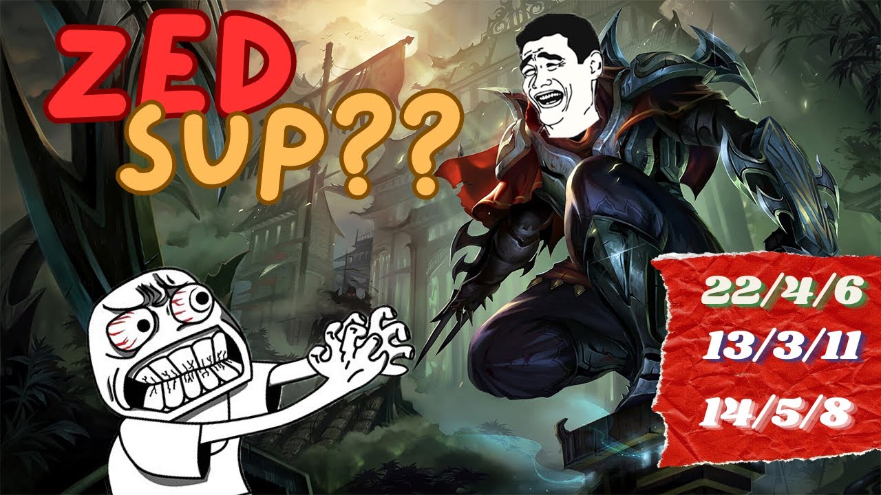 Zed support | I ensure you zed support is the best you can pick - YouTube