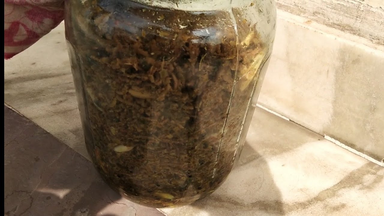 Traditional Oal pickles/पारंपरिक ओल का अचार/Authentic oal pickle/Suran ...