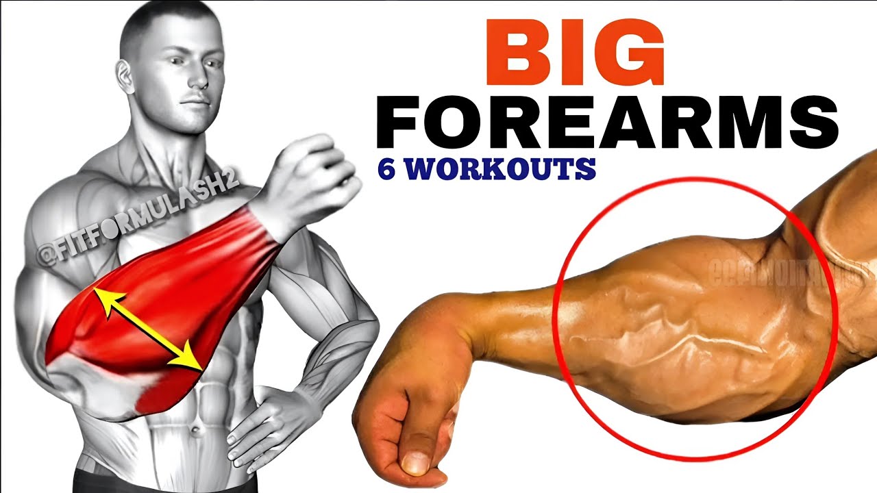 You Only Need 6 Effective Workouts To Build A Bigger Forearm - YouTube