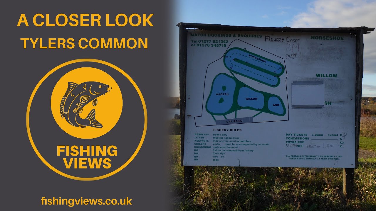 A Closer Look at Tylers Common - Essex - YouTube