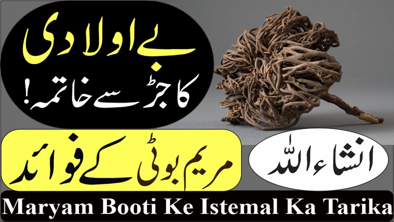 Maryam Booti Ke Fayde | Maryam Booti Ka Istemal - YouTube