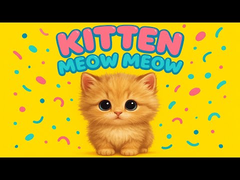 Sevimli Dans Yavruları - Balon ve Bahçe ile Komik Kedi Videosu