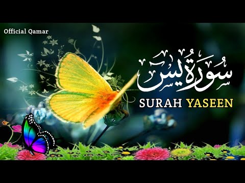 Surah Yaseen (Yaseen) Yasin By Sheikh Qamar | Full with Arabic text (HD ...