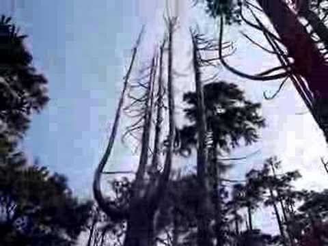 Frodo Second breakfast - YouTube