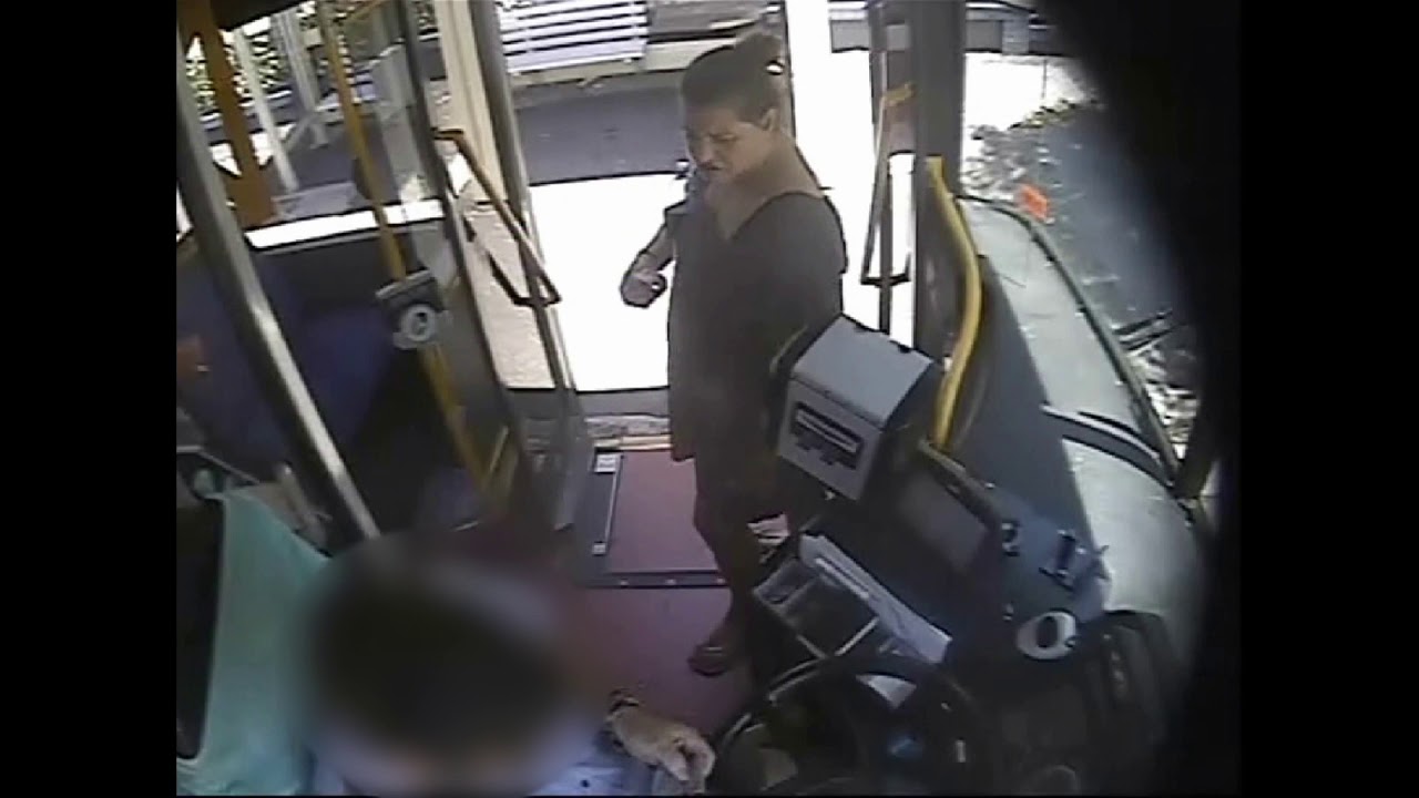 Woman Wanted After Fight With Bus Driver - YouTube