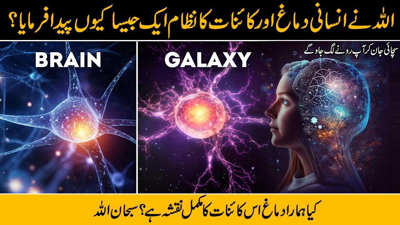 Is Our Brain a Blue Print of Our Universe? Do We Live inside Someone’s ...