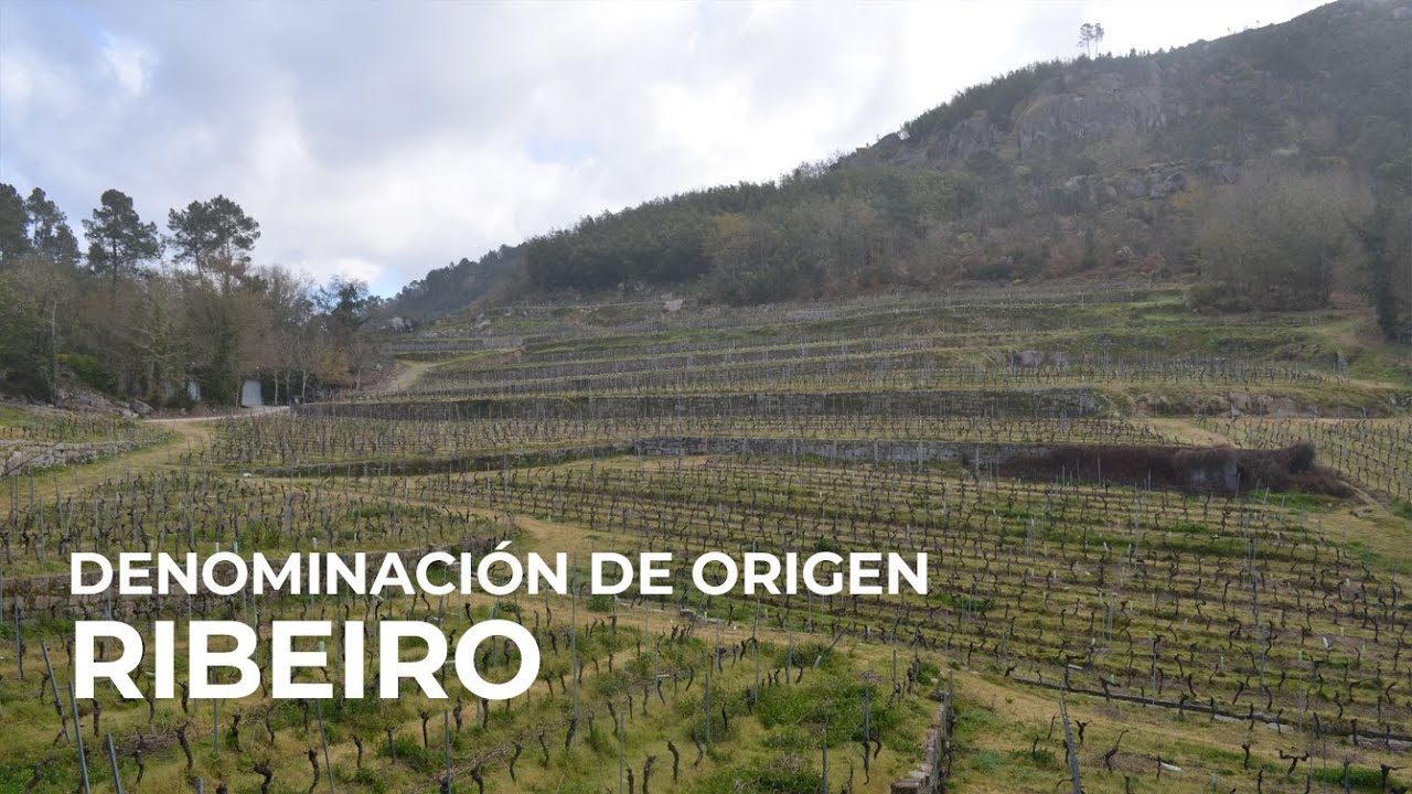 Spanish Wine Regions: Ribeiro - YouTube