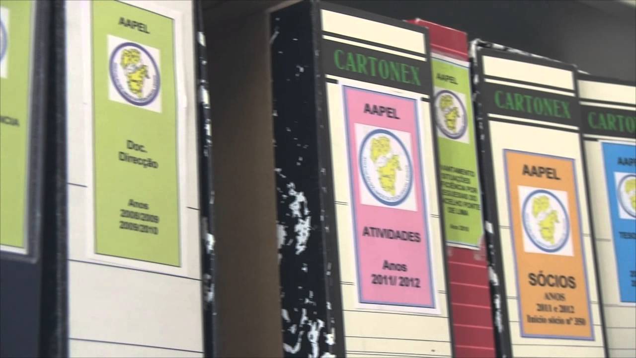 Processo de Criação da AAPEL - YouTube