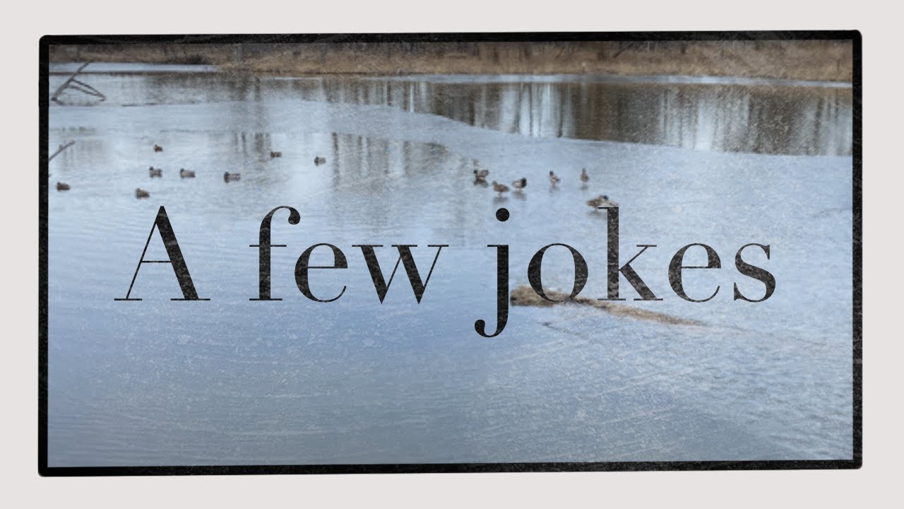 A Few Minutes of Jokes, Based On Your Suggestions! - YouTube