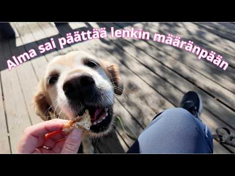 ARVASIN MINNE ALMA HALUAA | Pienillä jutuilla mielekkyyttä arkeen
