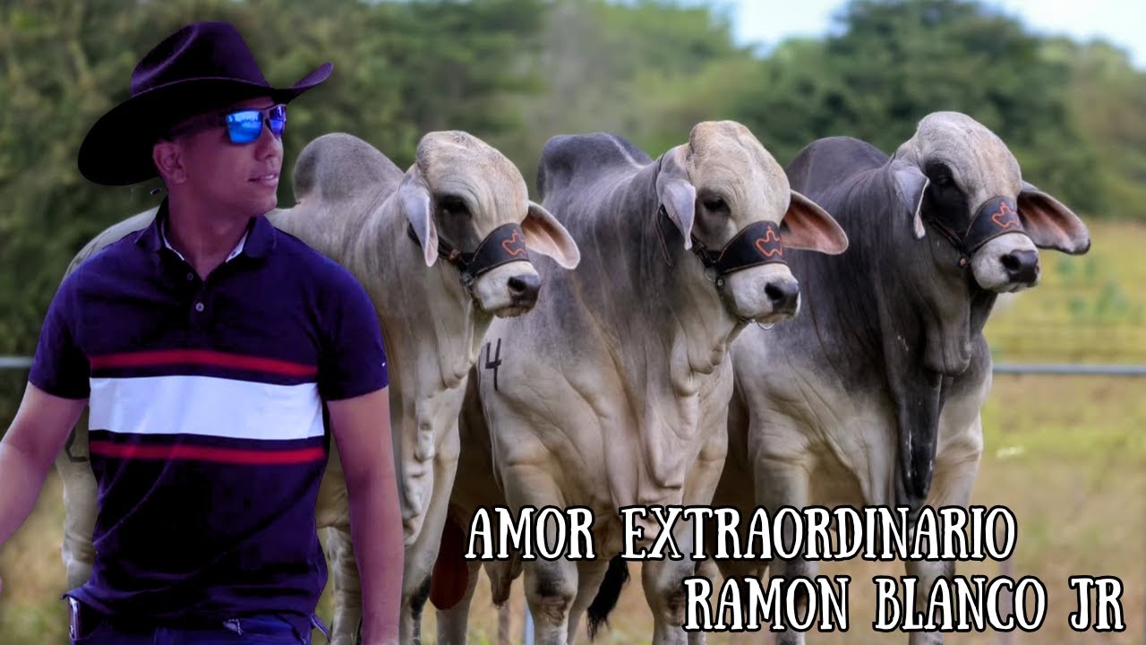 Ramon Blanco Jr - Amor Extraordinario (Video Audio Oficial) - YouTube