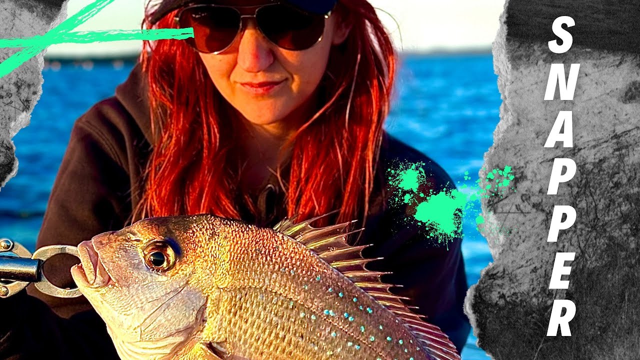 out with the family catching MORETON BAY SNAPPER - YouTube