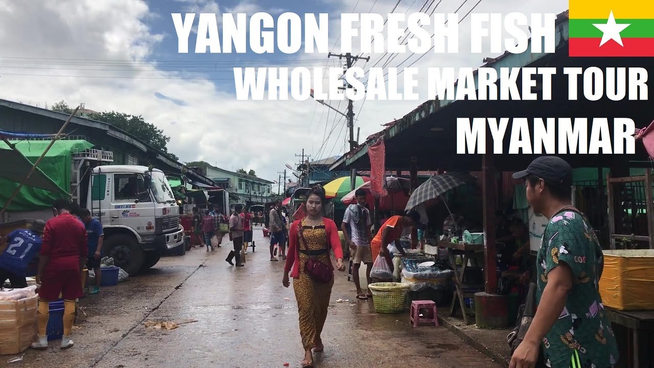 🇲🇲 YANGON FRESH FISH WHOLESALE MARKET TOUR TODAY - YouTube