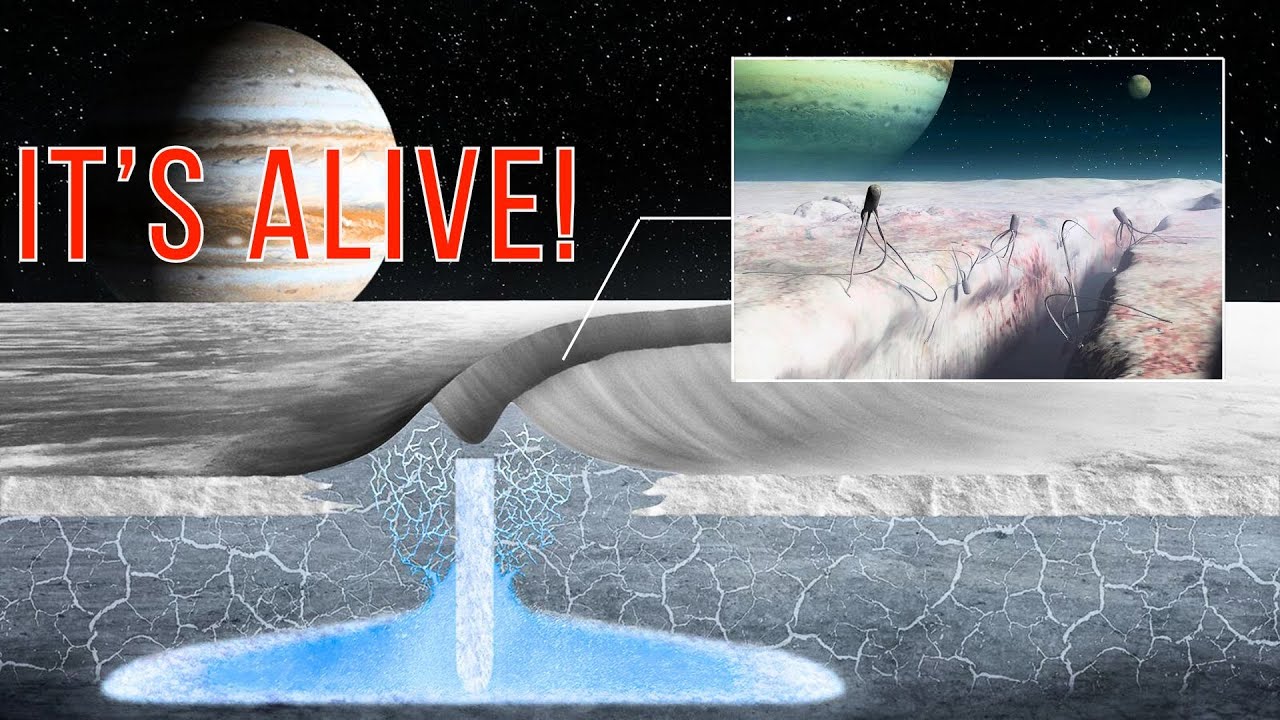 Scientists Debate: Could Alien Life Thrive Under the Icy Crusts of ...