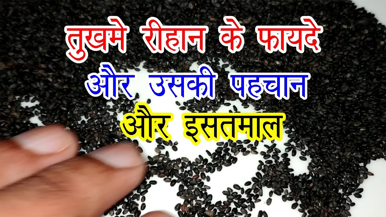 tukhme rehan ke fayde | tukhme rehan ki pehchan | tukhme rehan ka ...