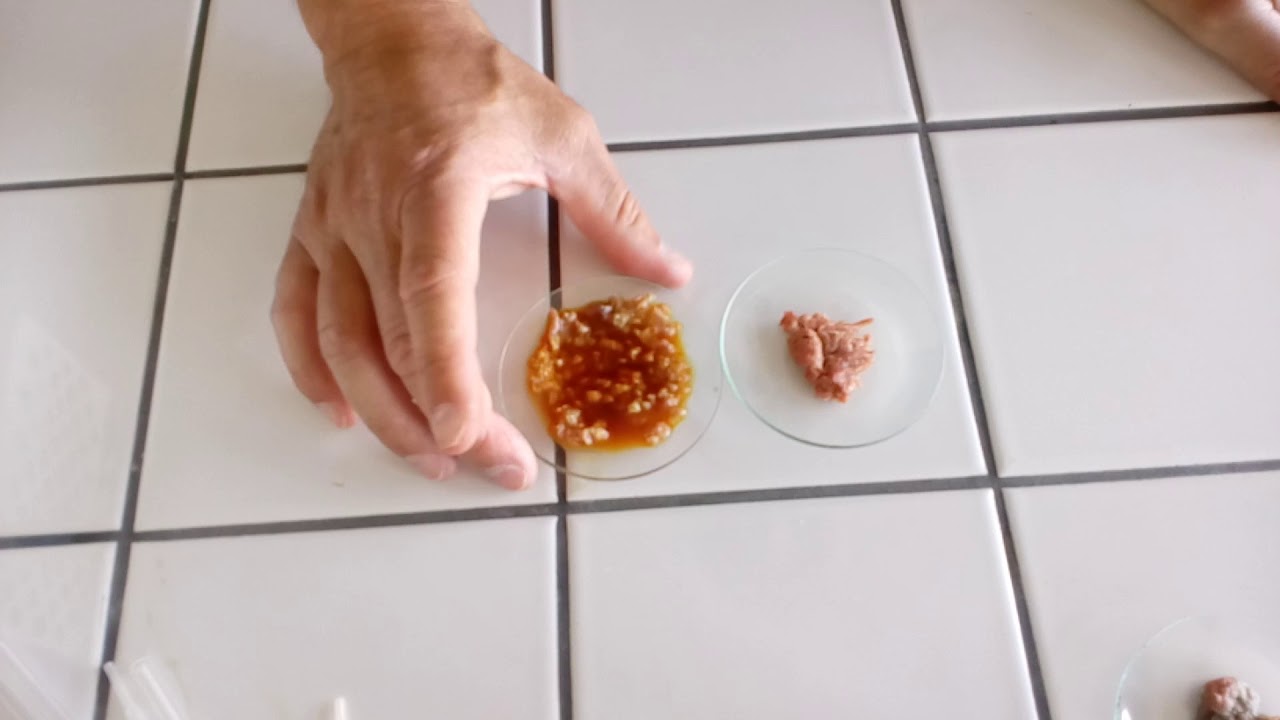 Video 3 l'eau iodée - YouTube