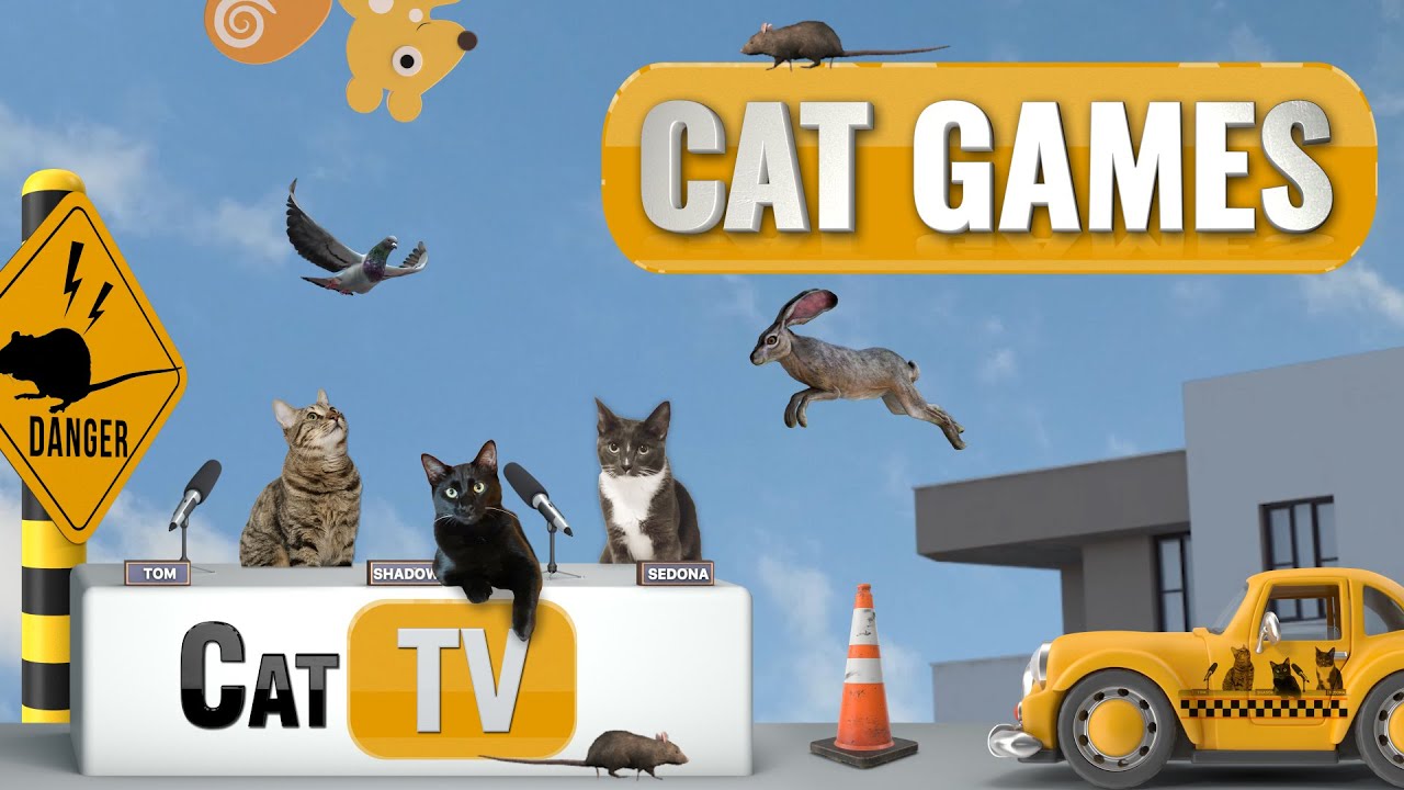 CAT Games | Cat City Adventures - A Feline Fantasy World! 😺🌃 | Cat TV ...