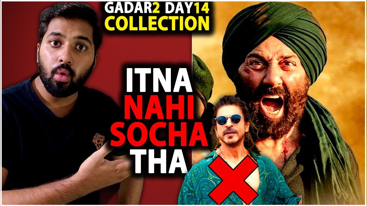 Gadar 2 Day 14 Box Office Collection | Gadar 2 Box Office Collection ...