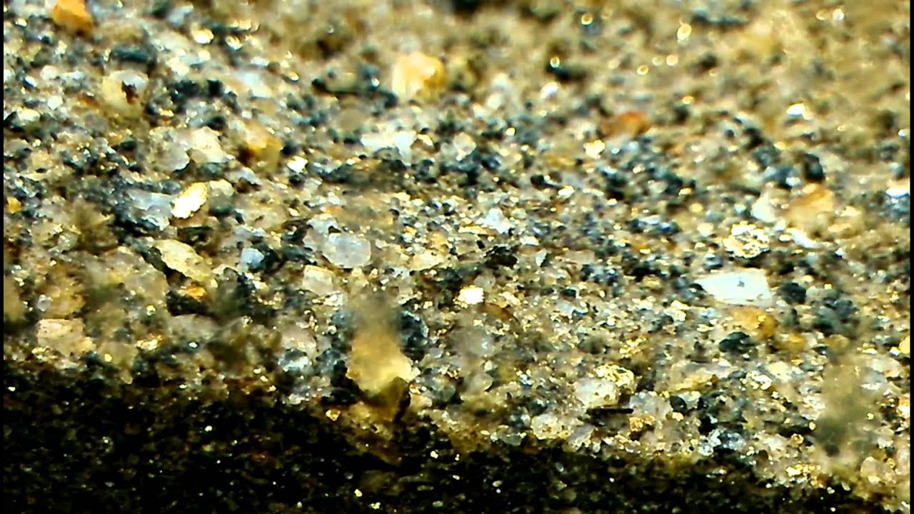 Miracle mud refugium surface pt.1 - YouTube