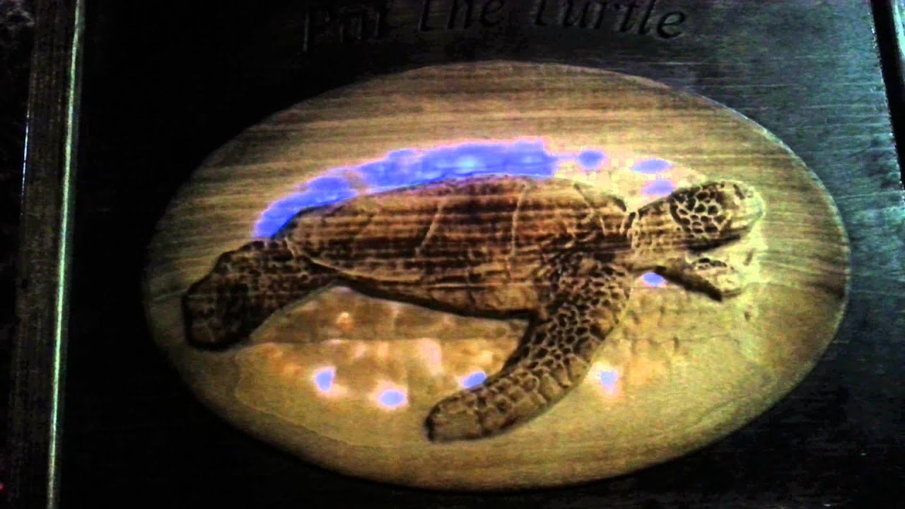 Turtle test - YouTube