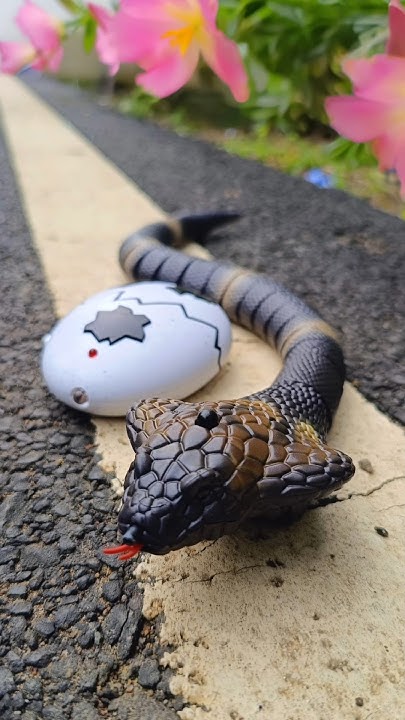 Remote Control Rc Snake Unboxing 🐍 - YouTube