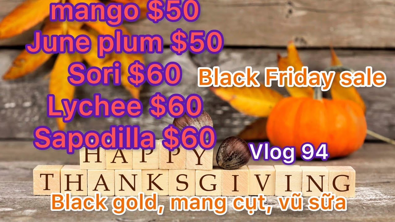 mận $80, saboche $60, xoài $50, big sale Thanksgiving - YouTube