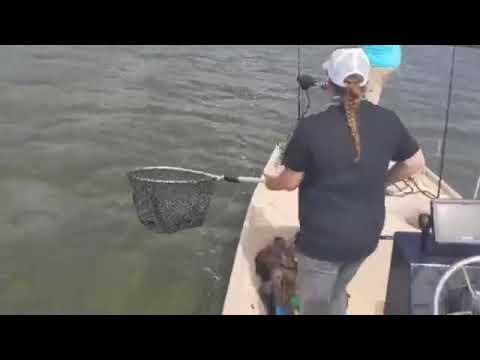 Justin Whaley catching his Bday fish! 2020 - YouTube