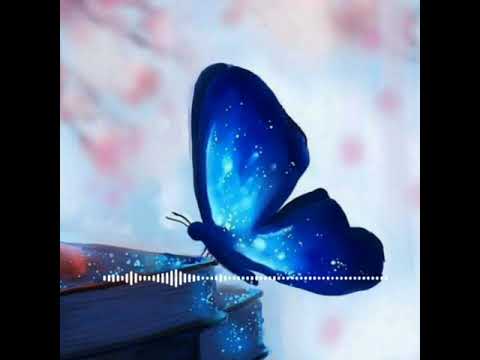 Sezen Aksu - Ben de yoluma giderim (cover)